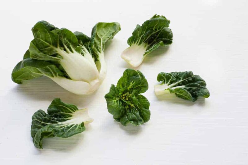How to: Grow Bok Choy Hydroponically - Hydro How-To