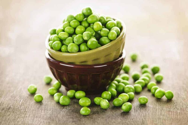 How to: Grow Peas Hydroponically + BEST Pea Varieties