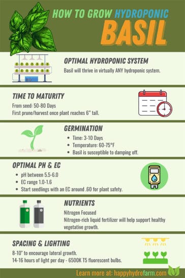 How To: Grow Hydroponic Basil + 5 BEST Basil Varieties