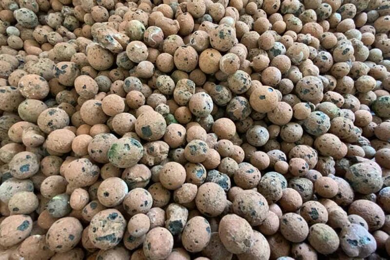 Cleaning Hydroton Clay Pebbles in 5 EASY Steps